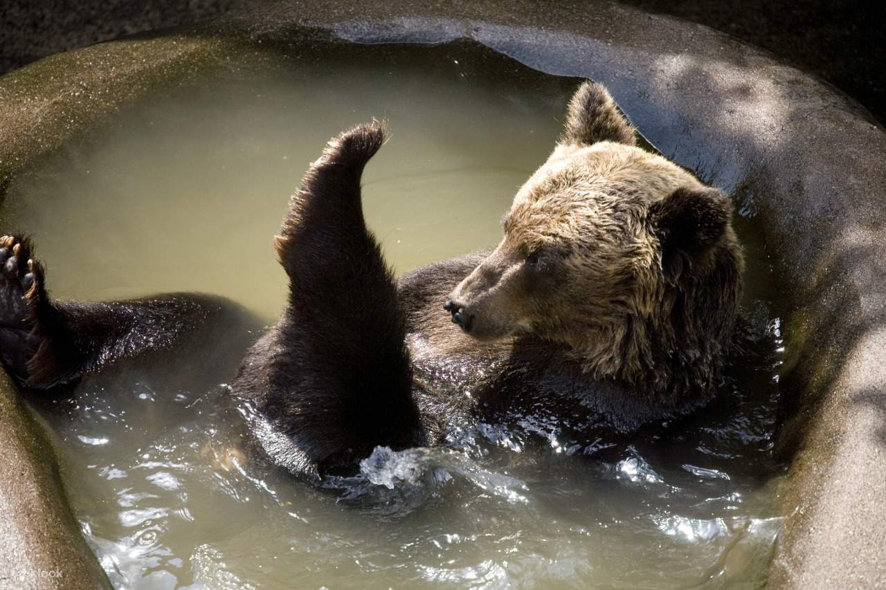 Hokkaido Noboribetsu, Lake Toya, and Otaru Panoramic Day Tour | Experience Volcanic Wonders and ...